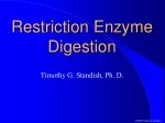 PPT - Restriction Digestion and Analysis of Lambda DNA Kit PowerPoint ...
