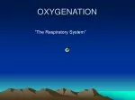 PPT - Oxygenation PowerPoint Presentation, free download - ID:2584045