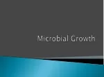 PPT - Microbial Growth PowerPoint Presentation, free download - ID:3740355
