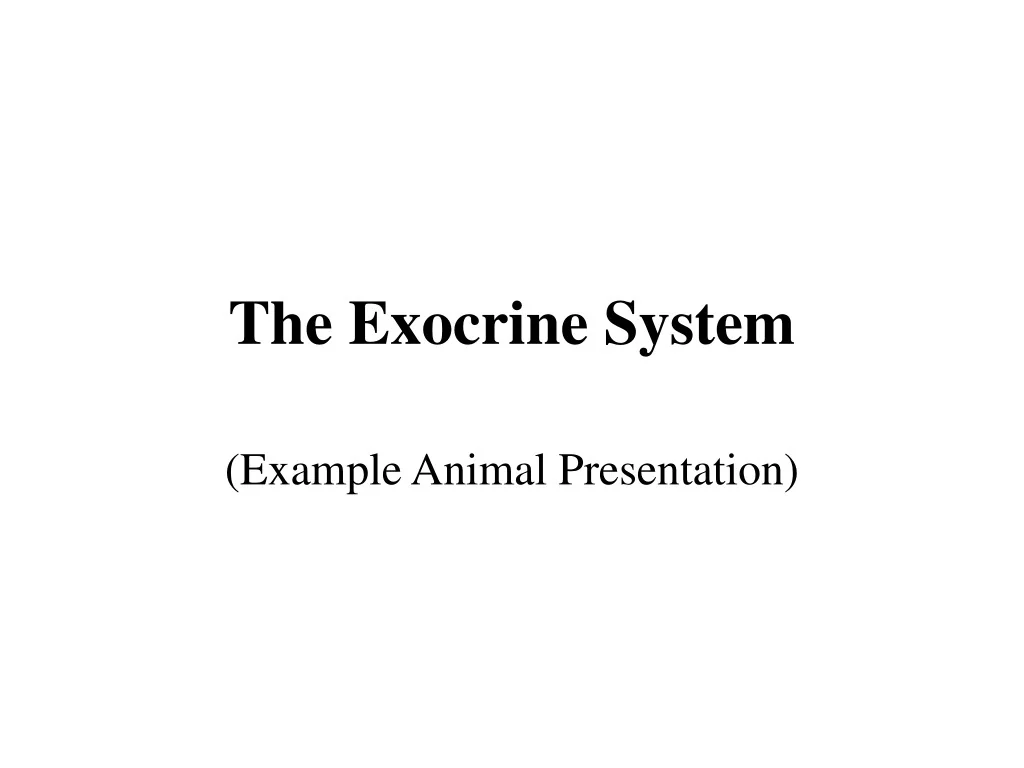 PPT - The Exocrine System PowerPoint Presentation, free download - ID ...