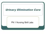 PPT - Urinary Elimination PowerPoint Presentation, free download - ID ...