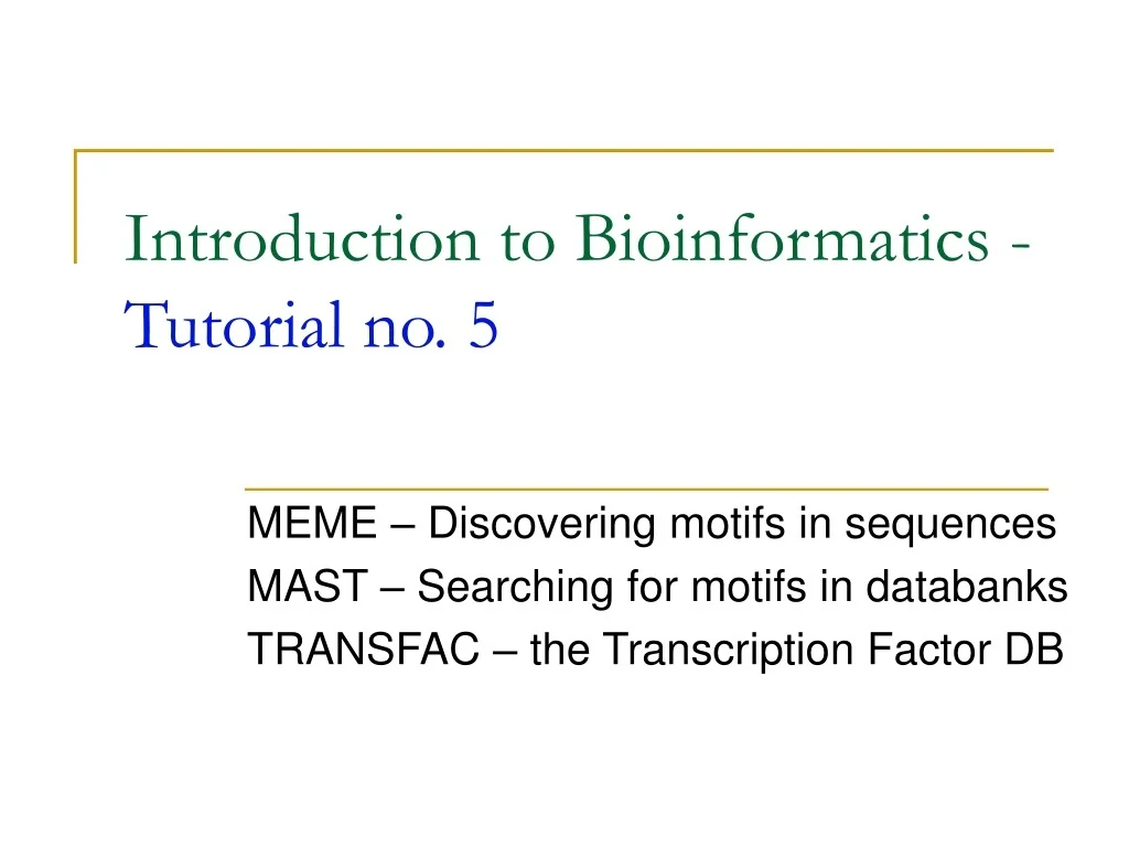 PPT - Bioinformatics Tools Overview: MEME, MAST, TRANSFAC PowerPoint ...