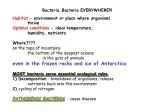 PPT - Bacteria PowerPoint Presentation, free download - ID:2923805
