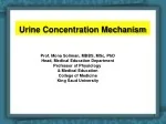 PPT - Urine Concentration and Dilution PowerPoint Presentation, free ...