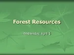 PPT - FOREST RESOURCES PowerPoint Presentation, free download - ID:2952993