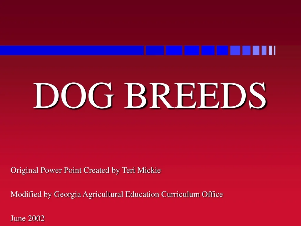 PPT - Dog Breeds Classification and Uses PowerPoint Presentation, free ...