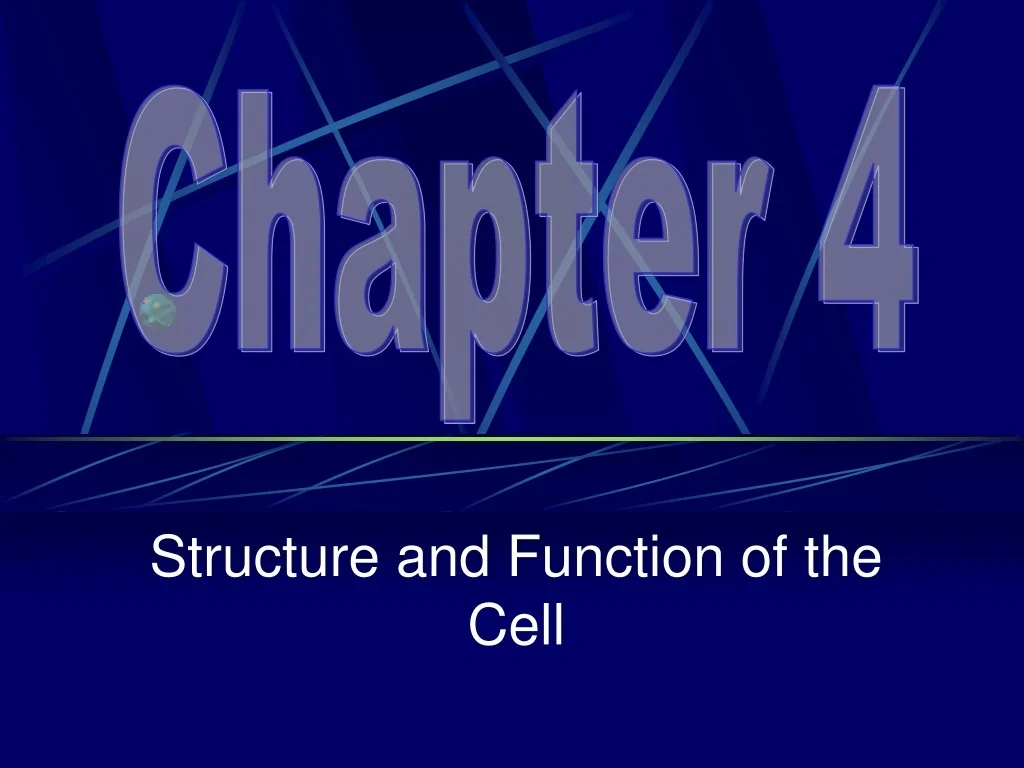 PPT - Structure and Function of the Cell PowerPoint Presentation, free ...