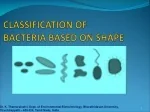 PPT - Classification of Bacteria PowerPoint Presentation, free download ...