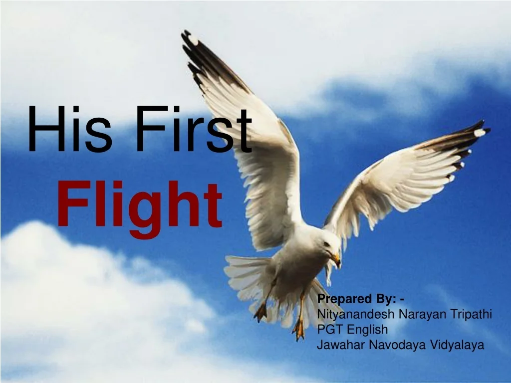 PPT - His First Flight PowerPoint Presentation, free download - ID:9596790