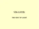 PPT - FOLLETO VIA LUCIS PowerPoint Presentation, free download - ID:850547