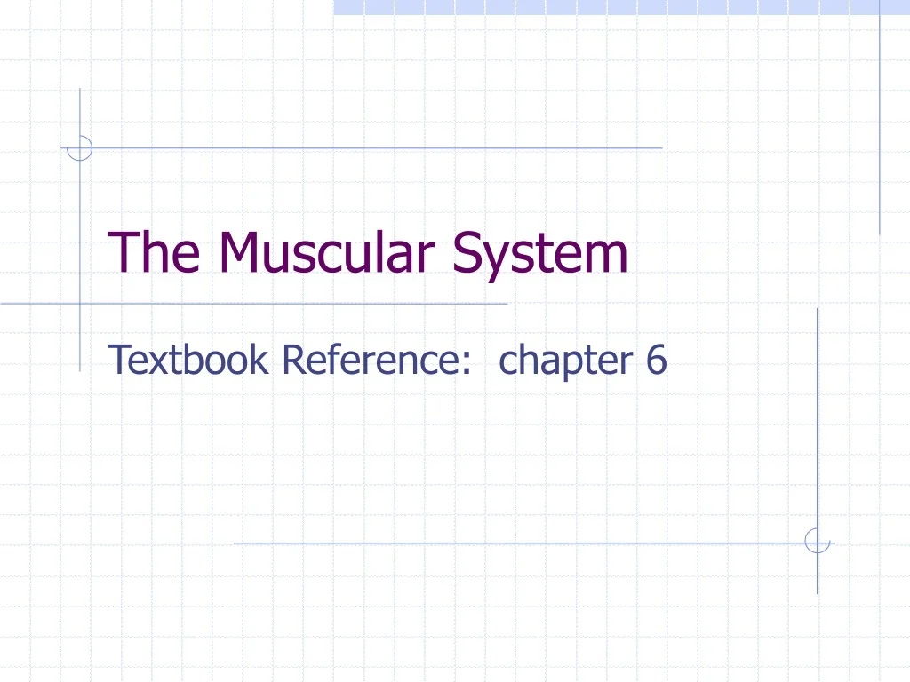 PPT - The Muscular System PowerPoint Presentation, free download - ID ...