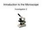 PPT - Introduction to the Microscope PowerPoint Presentation, free ...