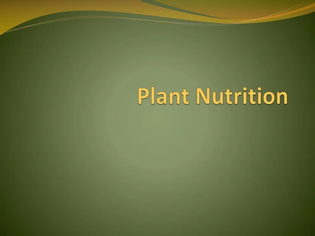 PPT - Plant Nutrition PowerPoint Presentation, free download - ID:9602434