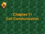 PPT - Chapter 11: Cell Communication PowerPoint Presentation, free ...