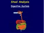 PPT - Stool Analysis PowerPoint Presentation, free download - ID:9593274