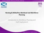 PPT - Nursing Workforce PowerPoint Presentation, free download - ID:2614294
