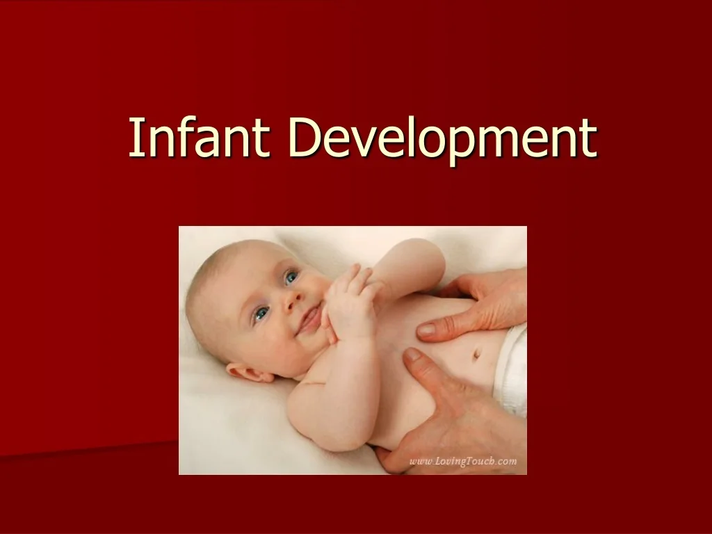 PPT - Infant Development PowerPoint Presentation, free download - ID ...