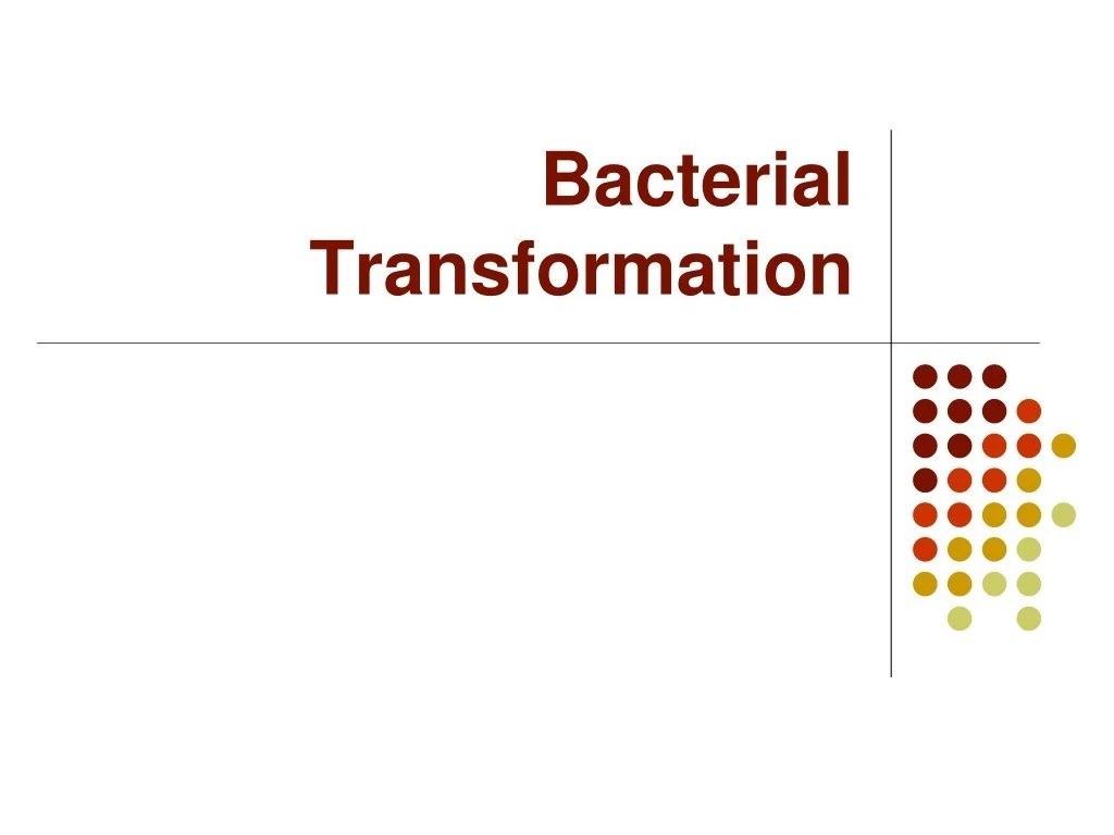PPT - Understanding Bacterial Transformation Process: Plasmid Uptake ...