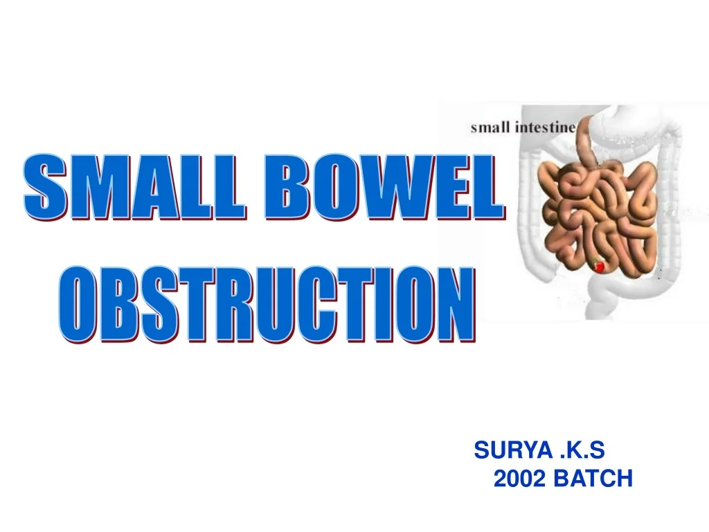 PPT - SMALL BOWEL PowerPoint Presentation, free download - ID:9605429