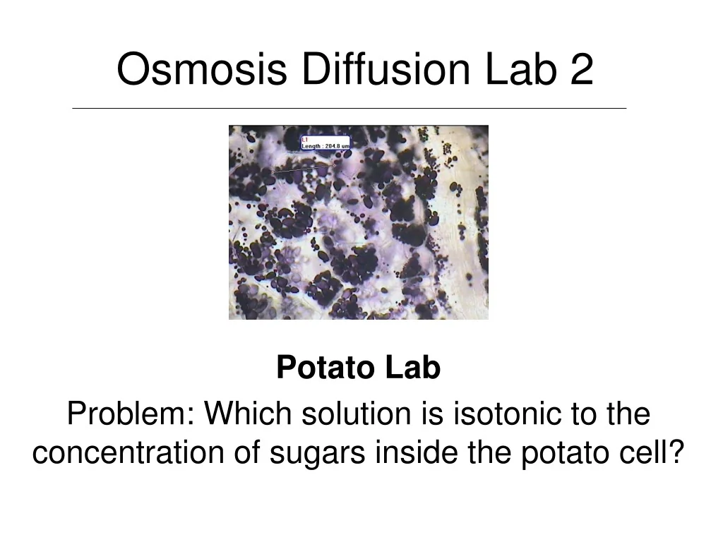 PPT - Potato Osmosis and Isotonic Solutions Lab Protocol PowerPoint ...