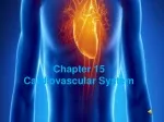 PPT - Chapter 13 Cardiovascular System PowerPoint Presentation, free ...