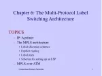 PPT - Multi-protocol Label Switching PowerPoint Presentation, free ...