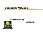 PPT - Computer Viruses PowerPoint Presentation, free download - ID:3939567
