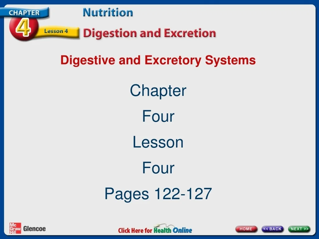 PPT - Digestive and Excretory Systems PowerPoint Presentation, free ...