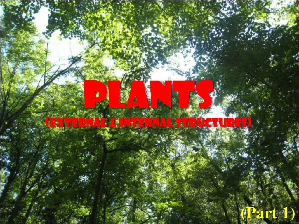 PPT - plants (External & Internal Structures) PowerPoint Presentation - ID:9609899