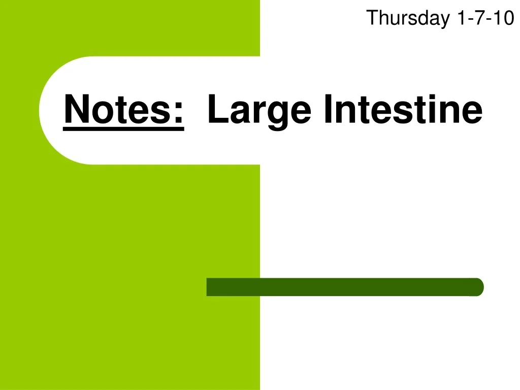PPT - Notes: Large Intestine PowerPoint Presentation, free download ...