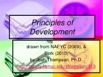 PPT - Principles of Physical Development PowerPoint Presentation, free ...