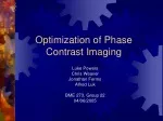PPT - Brightfield and Phase Contrast Microscopy PowerPoint Presentation ...