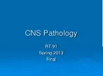 PPT - CNS Pathology PowerPoint Presentation, free download - ID:833180