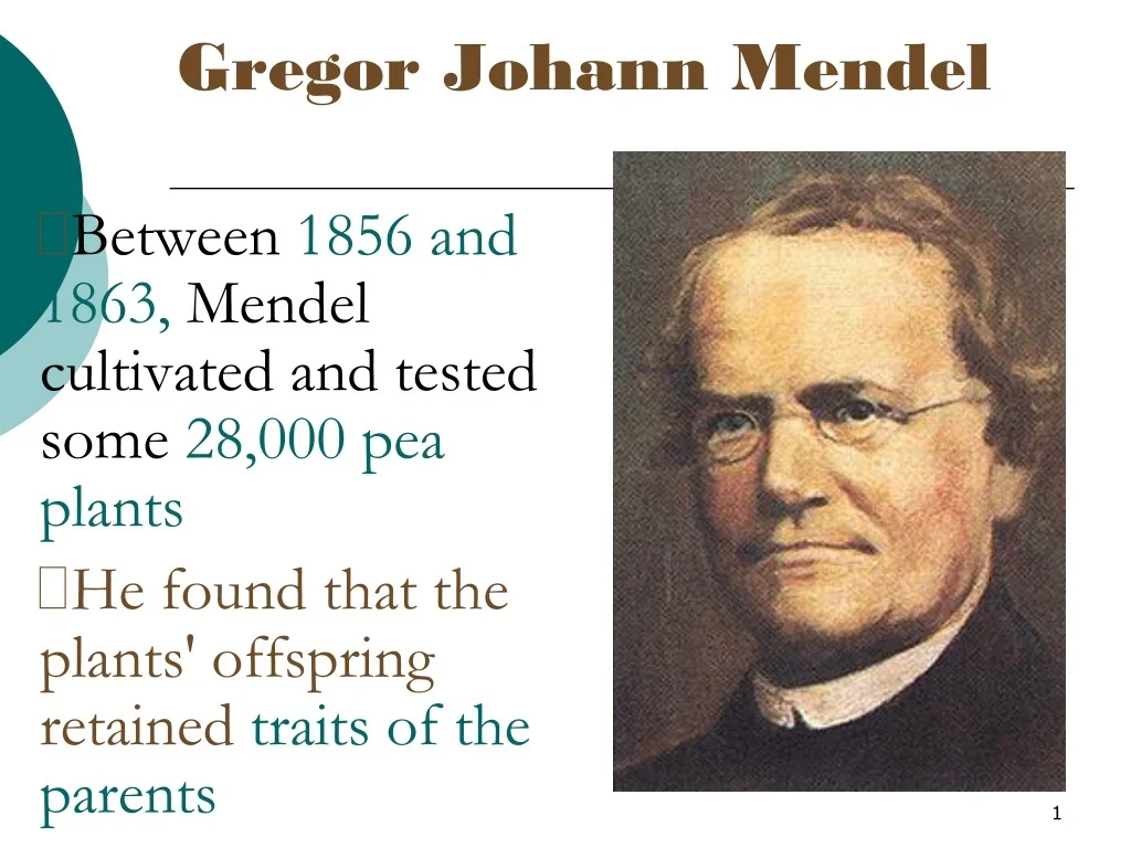 PPT - Gregor Mendel: Father of Genetics and Principles of Inheritance ...