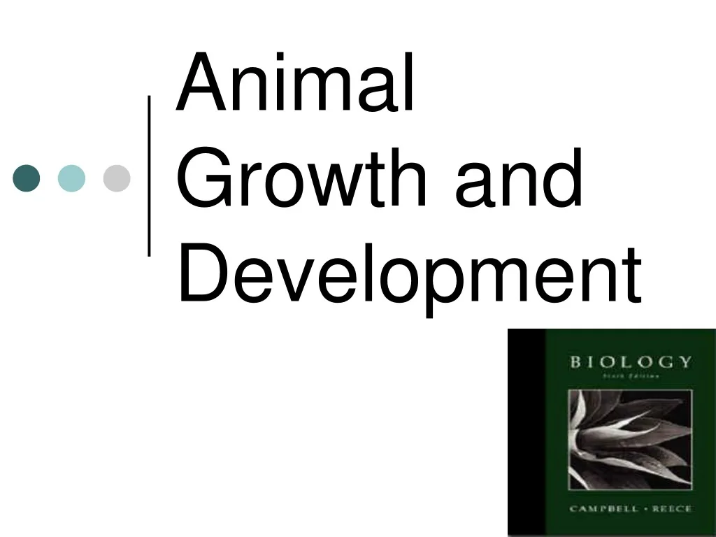 PPT - Animal Growth and Development: The Journey from Fertilization to ...