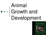 PPT - ANIMAL GROWTH AND DEVELOPMENT PowerPoint Presentation, free ...