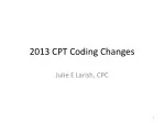 PPT - Coding 101 - Introduction to CPT PowerPoint Presentation, free ...