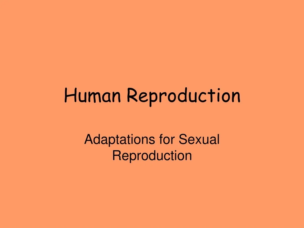 PPT - Human Reproductive System Hormones PowerPoint Presentation, free ...