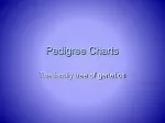 PPT - Pedigree Charts PowerPoint Presentation, free download - ID:2148184