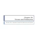 PPT - Viruses and Prokaryotes PowerPoint Presentation, free download ...