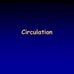 PPT - Double Circulation PowerPoint Presentation, free download - ID ...