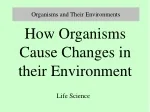 PPT - LIVING ORGANISMS AND THEIR SURROUNDINGS PowerPoint Presentation ...