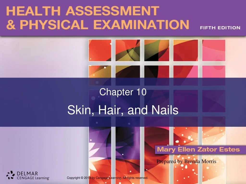 PPT - Skin, Hair, and Nails Anatomy PowerPoint Presentation, free ...