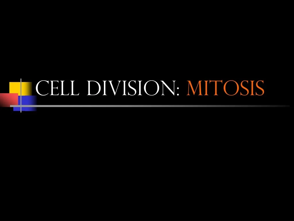 PPT - Unveiling Mitosis: Cell Division Process Explained PowerPoint ...