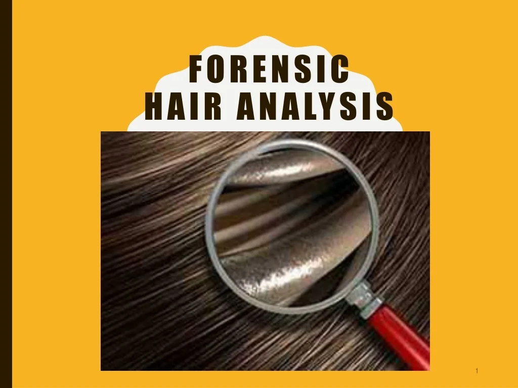 PPT - Comprehensive Guide to Forensic Hair Analysis: Techniques ...