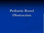 PPT - Bowel Obstruction: Infants and Children PowerPoint Presentation ...
