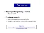 PPT - Genomics PowerPoint Presentation, free download - ID:9391825