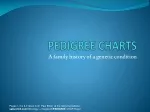 PPT - Pedigree Charts PowerPoint Presentation, free download - ID:2148184