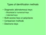 PPT - Livestock Identification Methods PowerPoint Presentation, free ...