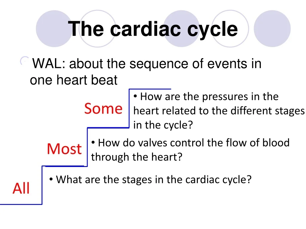 PPT - The cardiac cycle PowerPoint Presentation, free download - ID:9634600
